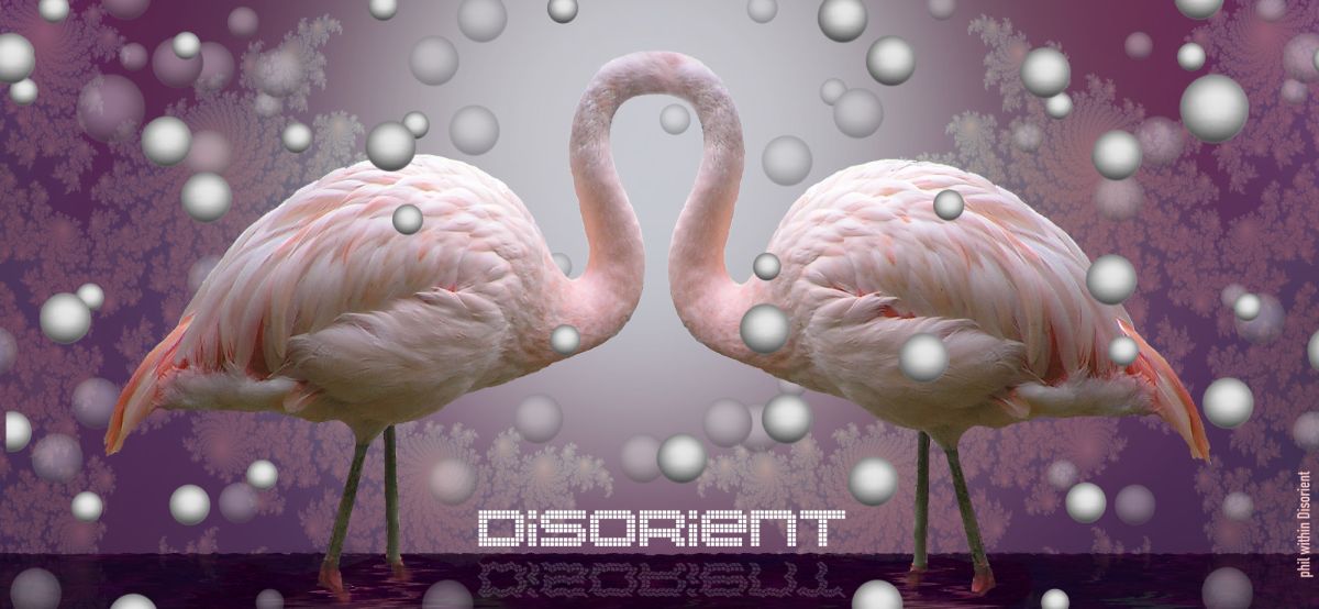 Disorient - Disorient wiki